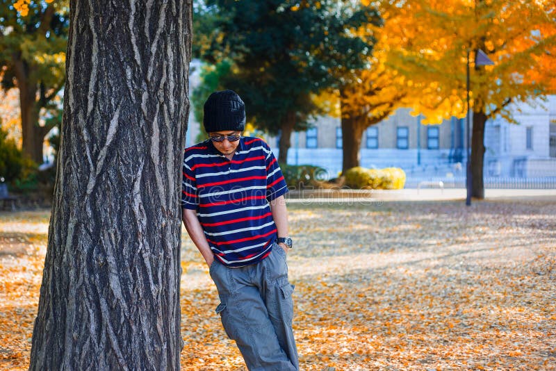 Asian Man Stands Under a Yellow Ginkgo Tree in Autumn Stock Photo ...