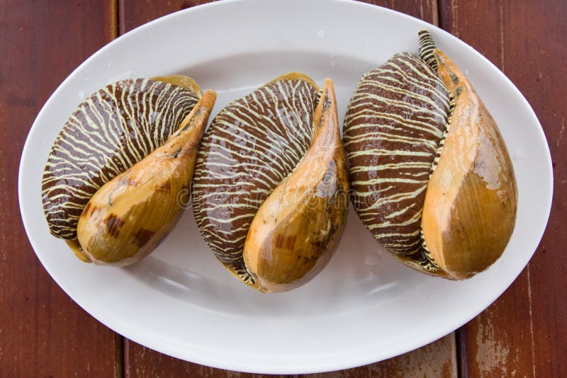 Asian meal-large mollusks stock photo. Image of diet - 11191062