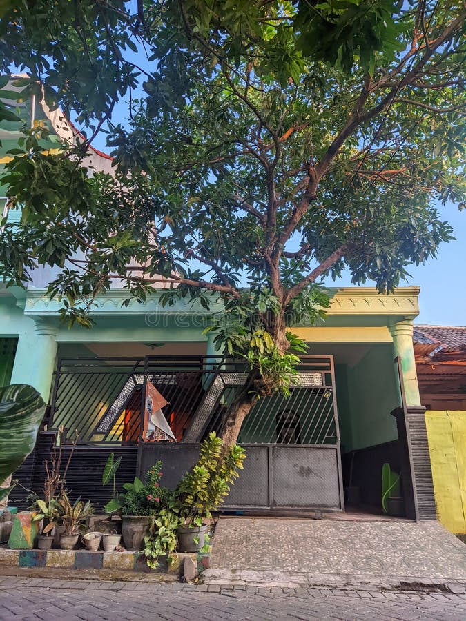 Asian Middle Class House with Manggo Tree Stock Photo - Image of manggo ...