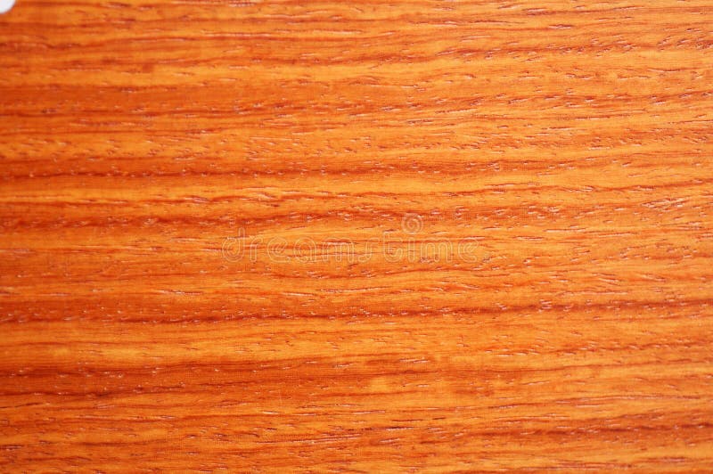 Asian padauk wood stock image. Image of background, asian - 595047