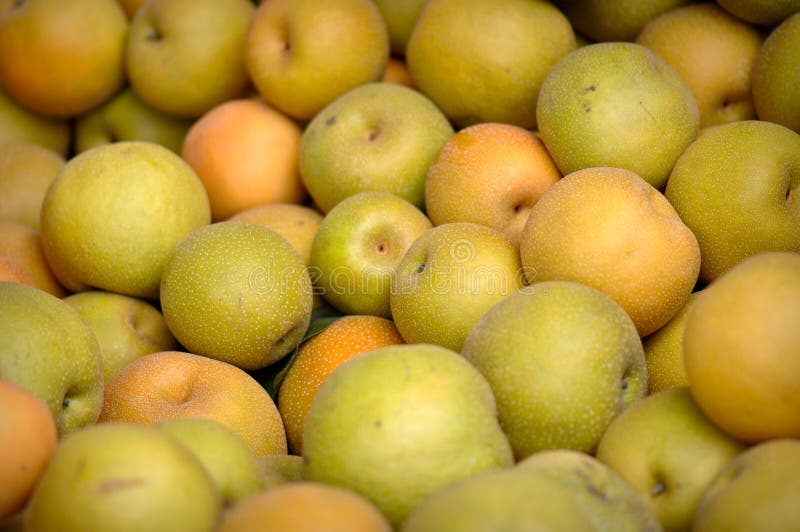Asian Pear stock image. Image of crisp, ripe, grow, vigorous - 11207519
