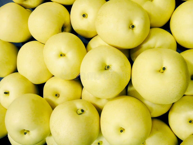 Asian pear stock photo. Image of pears, korean, tropical - 15735894