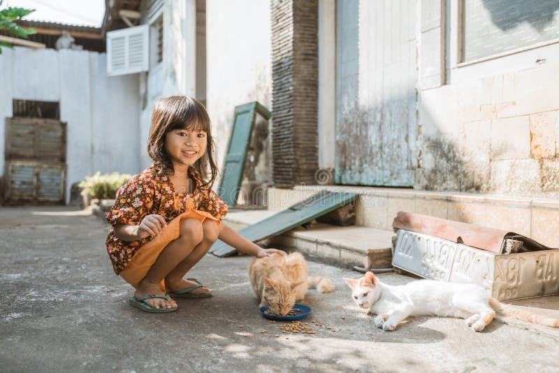 Asian Playing with Cat at Java Traditional Home Stock Photo - Image of ...