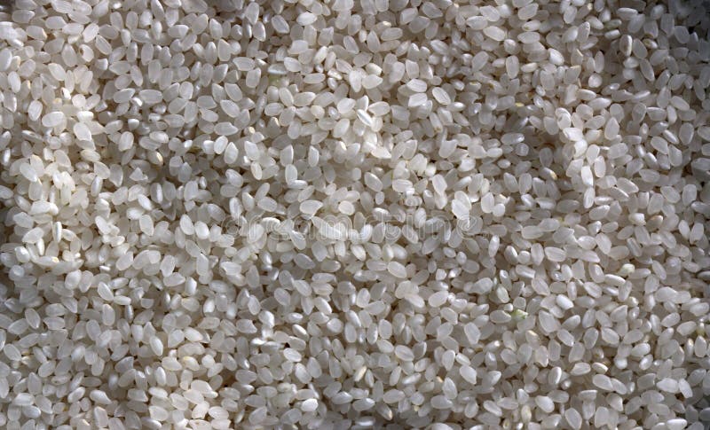Asian Raw Rice is Spread Out on the Floor. Stock Image - Image of ...