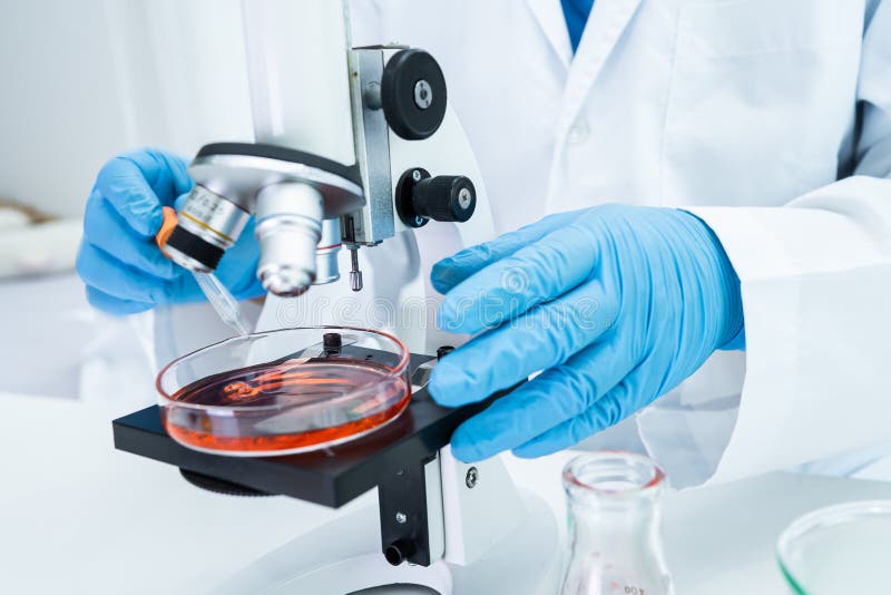 Asian Scientist Biochemist or Microbiologist Working Research with a ...