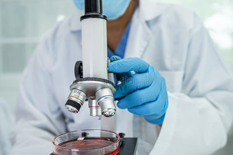 Asian Scientist Biochemist or Microbiologist Working Research with a ...