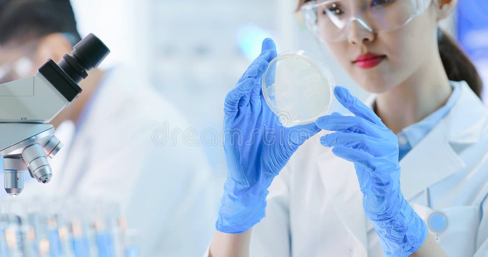 Asian Scientist Use Microscope Stock Photo - Image of biology, pharmacy ...