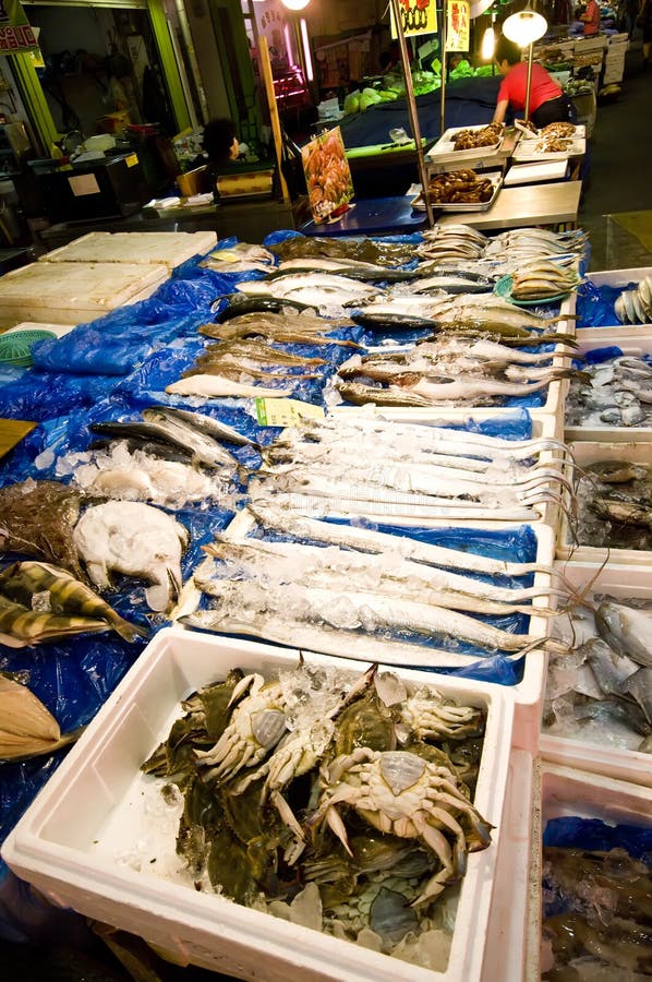 Seafood in market over ice stock photo. Image of grocery - 10103656