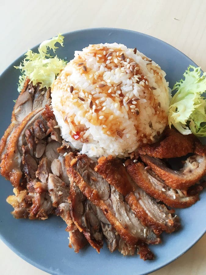 Asian Style Duck with Rice on a Plate. Stock Image - Image of delicious ...