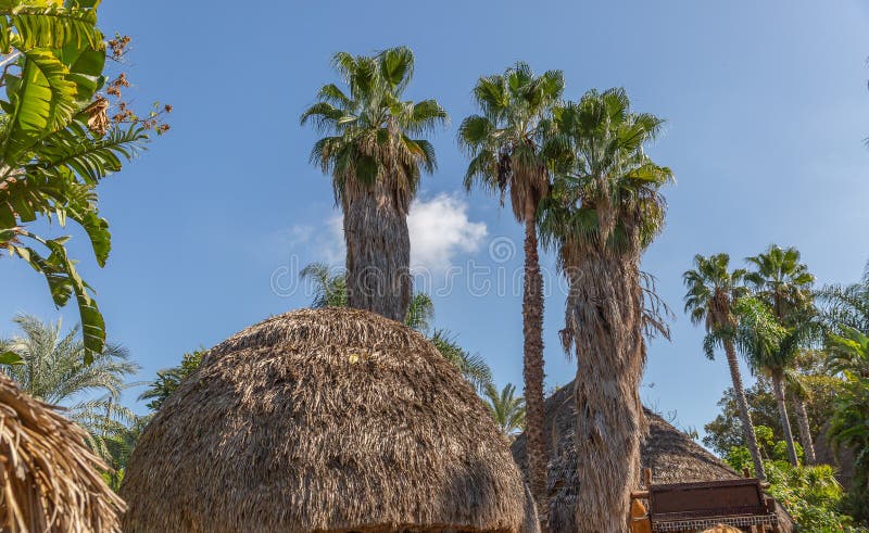 Asian Style Huts on a Lovely Sunny Day Stock Photo - Image of origin ...
