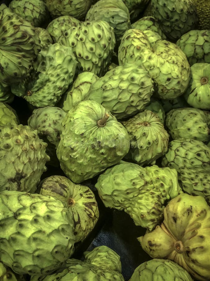 717 Asian Sweetsop Stock Photos - Free & Royalty-Free Stock Photos from ...