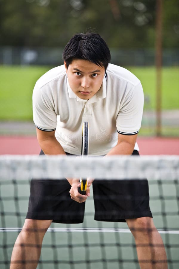Asian tennis player stock photo. Image of fitness, health - 8291480