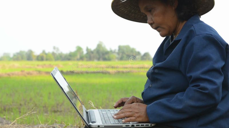 Asian Thai Farmer Using Laptop Computer in the Rice Field Stock Footage ...