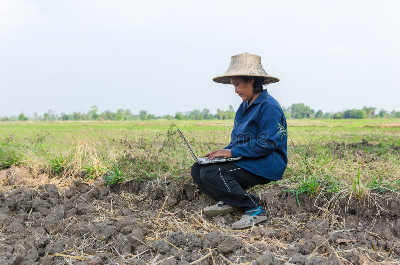Asian Thai Farmer Using Laptop Computer in the Rice Field with H Stock ...