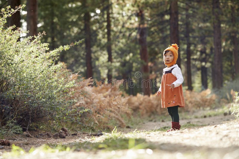 Asian Toddler Girl Walking Alone in a Forest, Side View Stock Photo ...