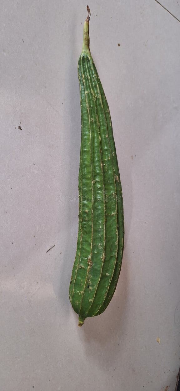 Asian Vegetable As Know As Gambas Stock Image - Image of branch, herb ...