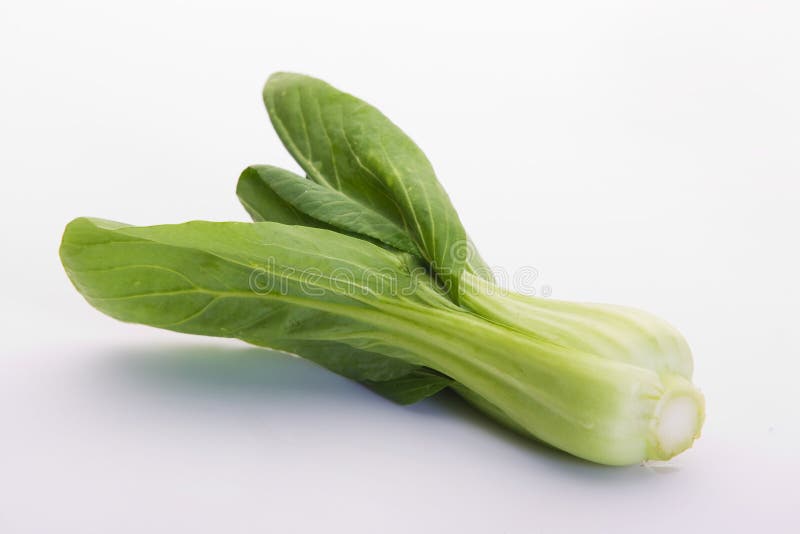 Asian vegetables stock photo. Image of diet, leafy, vitamins - 8309096