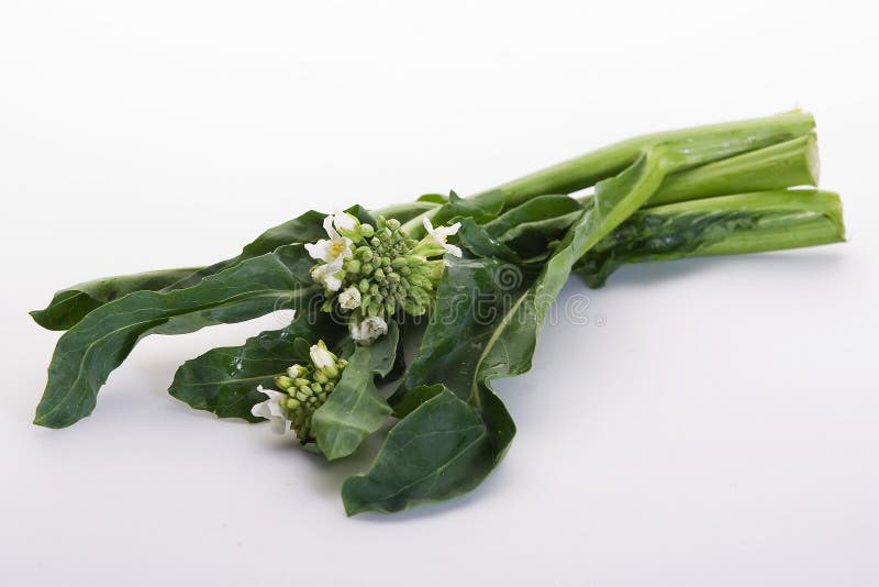 Asian vegetables stock photo. Image of stir, healthy, greengrocer - 8309104