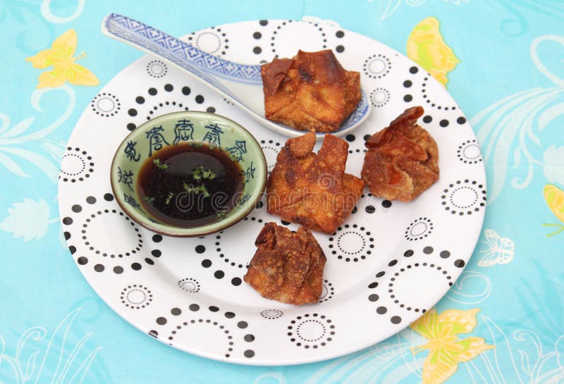 Asian Wan Tans stock image. Image of dumplings, sauce - 58540699