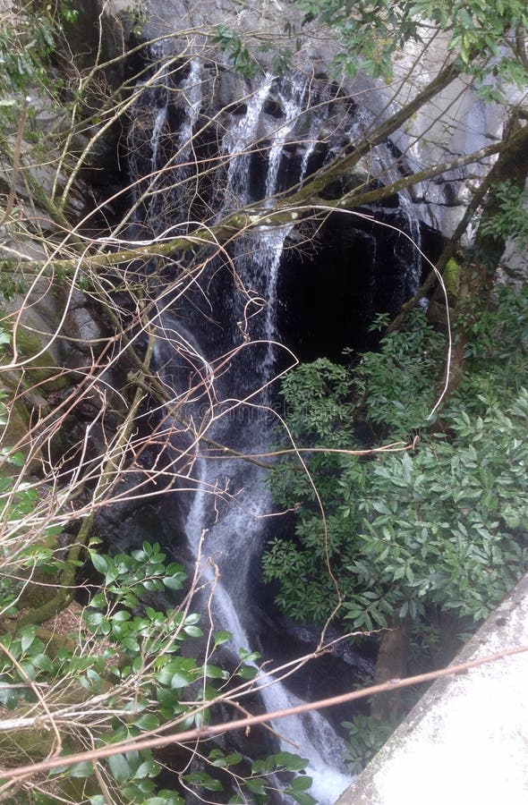 Asian water editorial photography. Image of water, bridge - 69342027