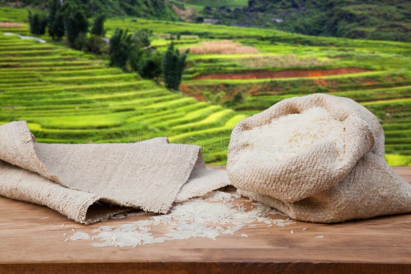 Asian White Rice or Uncooked White Rice with the Rice Field Background ...