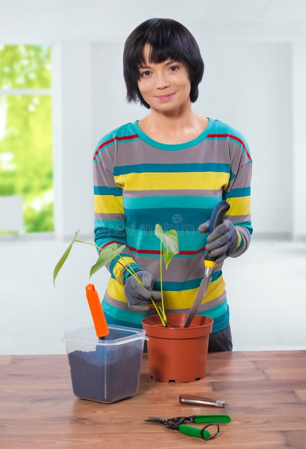 Asian Woman Repoting Flower Stock Photo - Image of flowers, potted ...