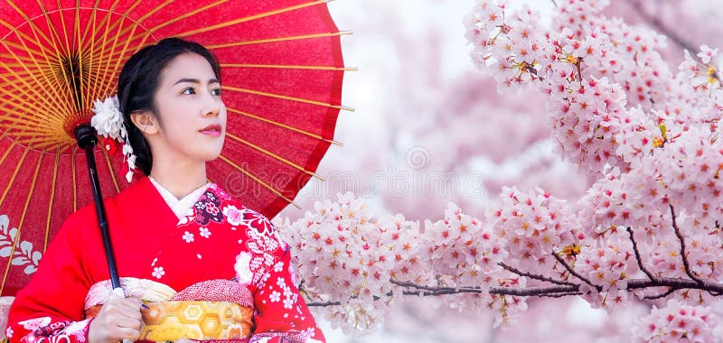 Asian Woman Wearing Japanese Traditional Kimono And Cherry Blossom In