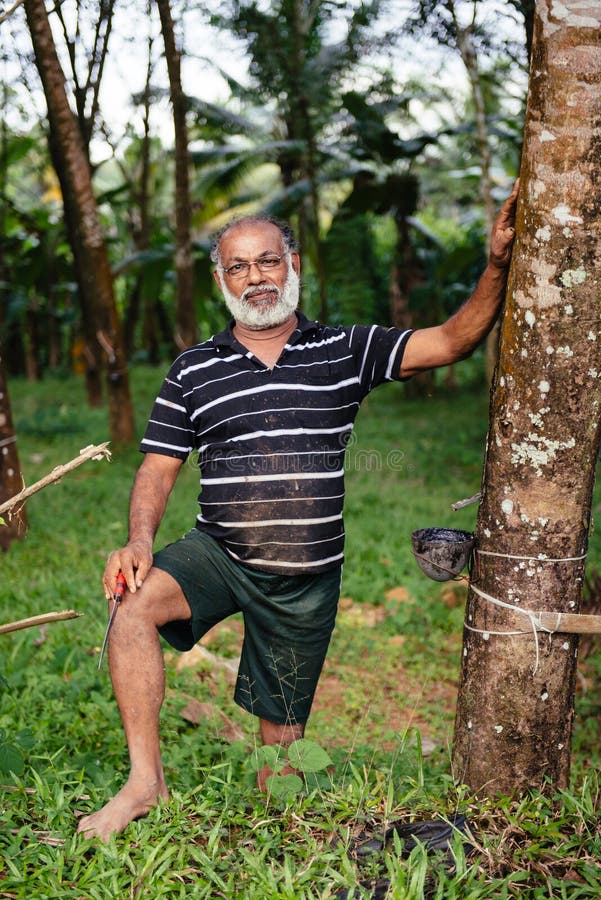 Rubber Tree Tapping Knife N°3 Stock Photos - Free & Royalty-Free Stock ...