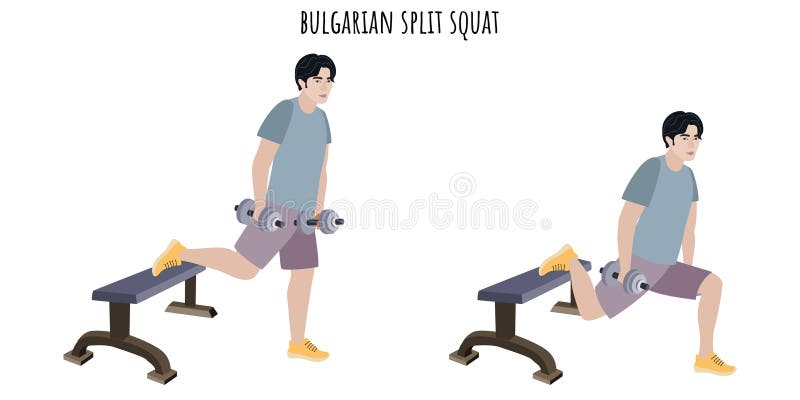 Bulgarian Dumbbell Split Squat Exercise Strength Workout Vector ... Bulgarian Dumbbell Split Squat Exercise Strength Workout Vector ...