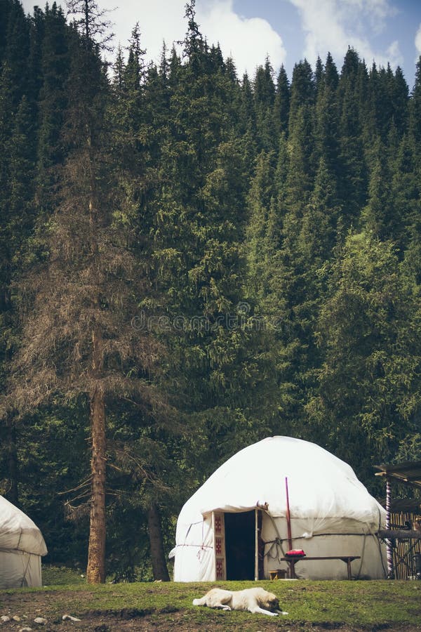 Mongolian yurt in forest stock image. Image of beautiful - 16468607