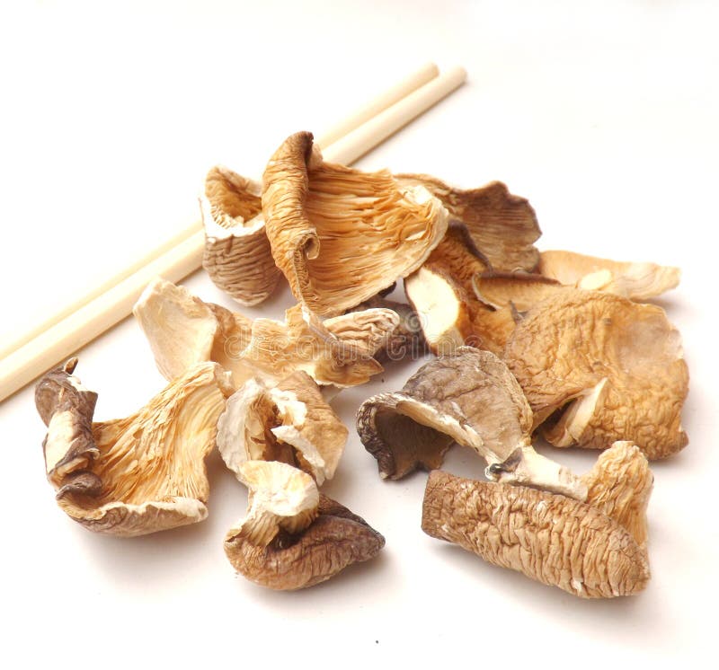 Asiatische Pilze stockfoto. Bild von chinesisch, gemüse - 64124488