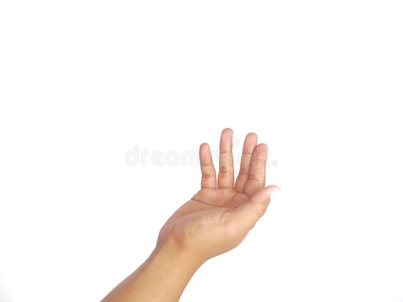 539 Hand Pointing To Empty Palm Stock Photos - Free & Royalty-Free ...