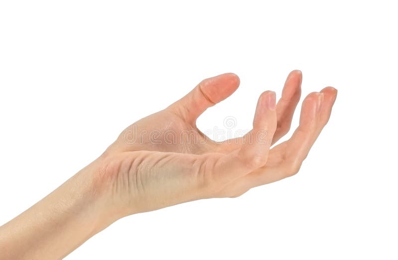 Hand with open palm down stock image. Image of blank - 71966855