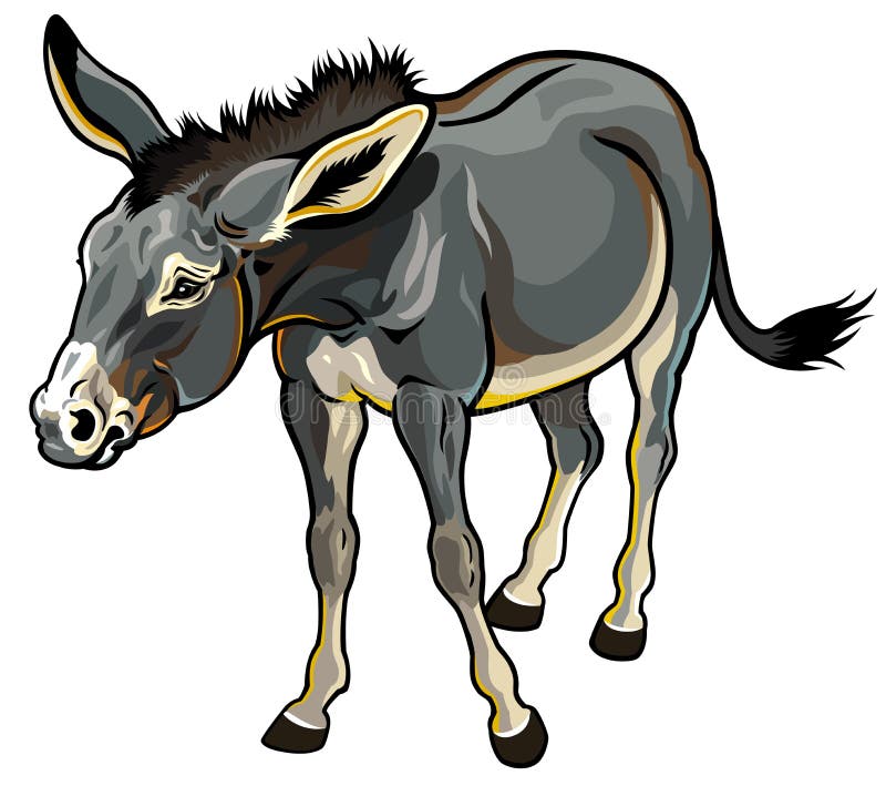 Burro de desenho animado ilustração do vetor. Ilustração de animal ...