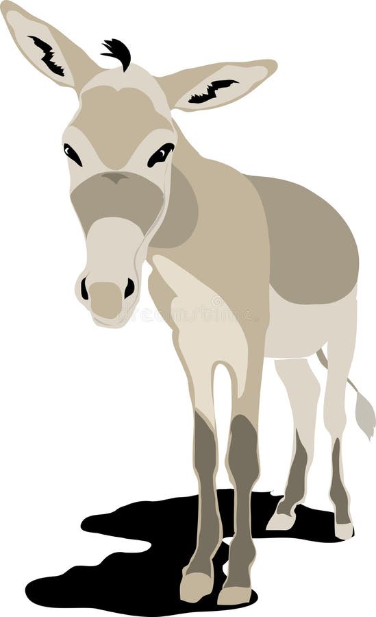 Asno ilustração do vetor. Ilustração de cinzento, asno - 7881736