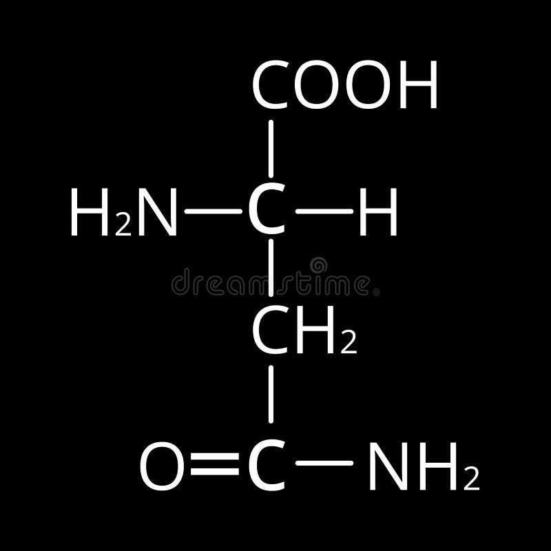 Asparagine is an Amino Acid. Chemical Molecular Formula Asparagine is ...
