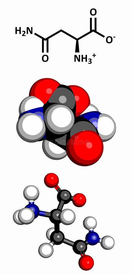 Asn Stock Illustrations – 109 Asn Stock Illustrations, Vectors ...