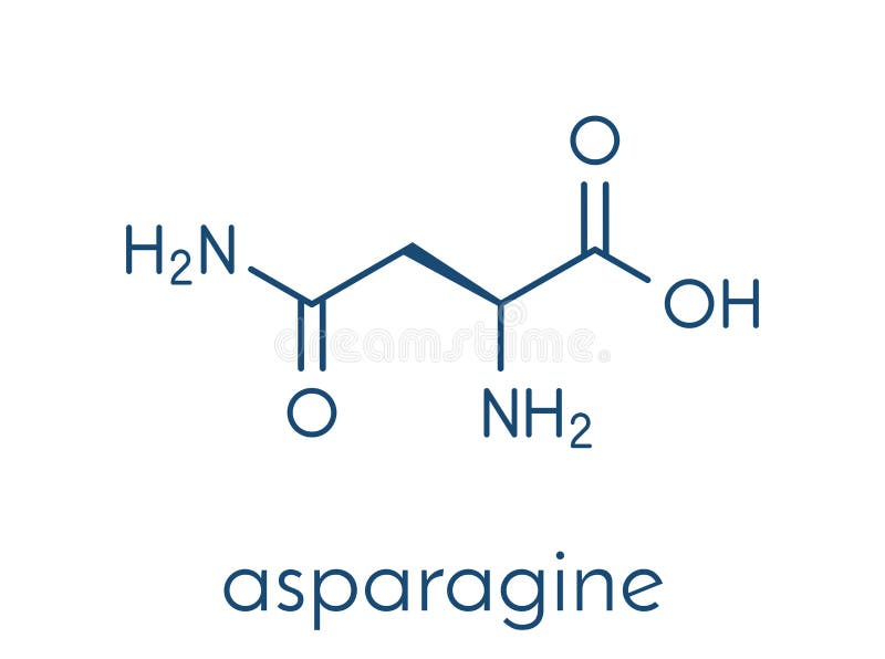 Asparagine Molecule Isolated on White Stock Illustration - Illustration ...