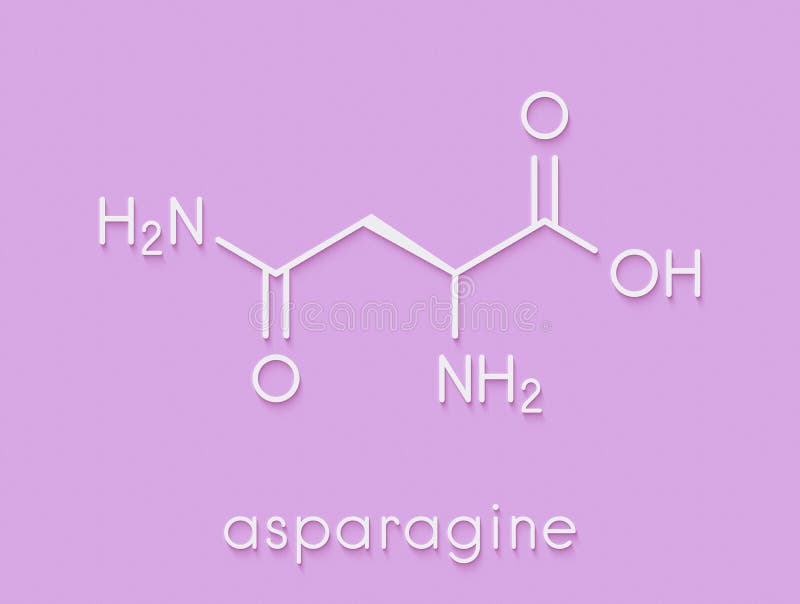 Asparagine L-asparagine, Asn, N Amino Acid Molecule. Skeletal Formula ...
