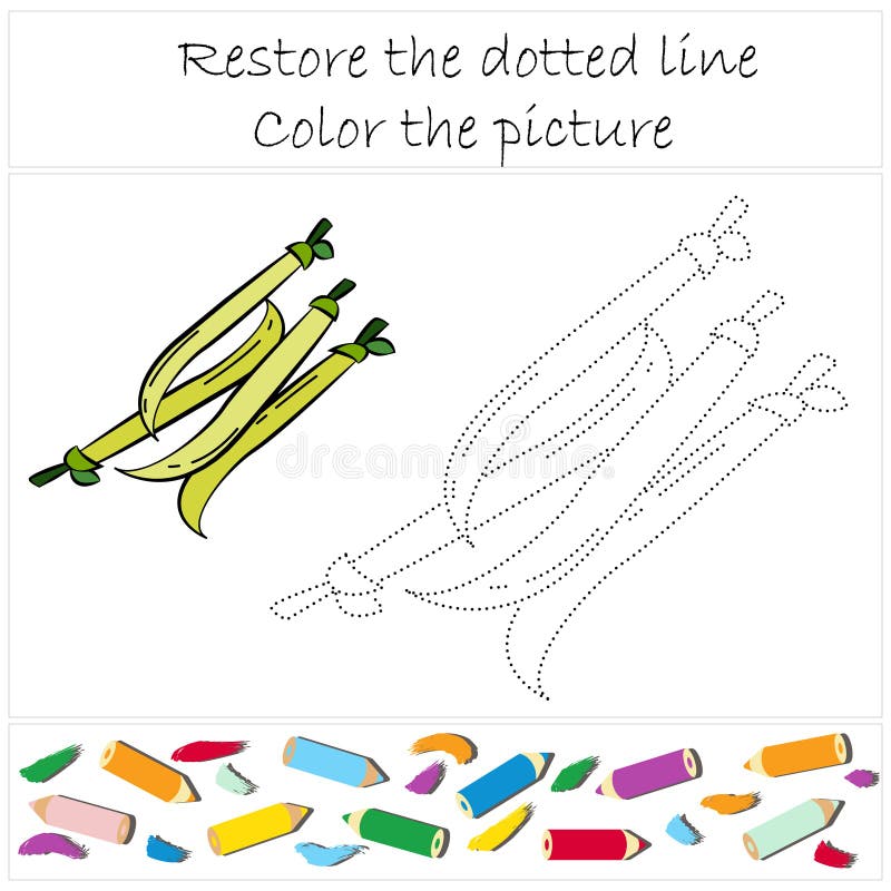 Asparagus Beans. Vegetables Stock Vector - Illustration of food, flat ...