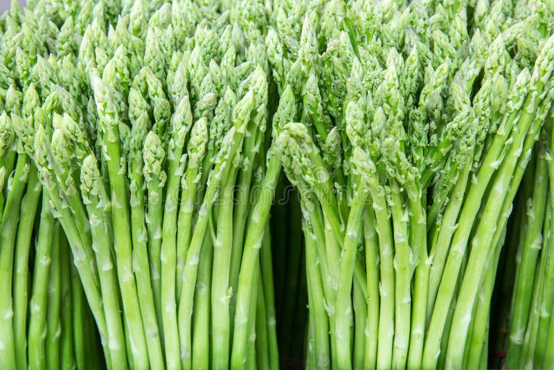Asparagus stock image. Image of plant, healthy, farm - 55980401