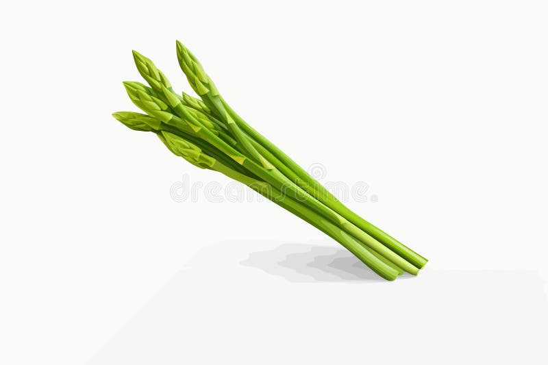 Asparagus Vector Flat Minimalistic Isolated Vector Style Illustration ...