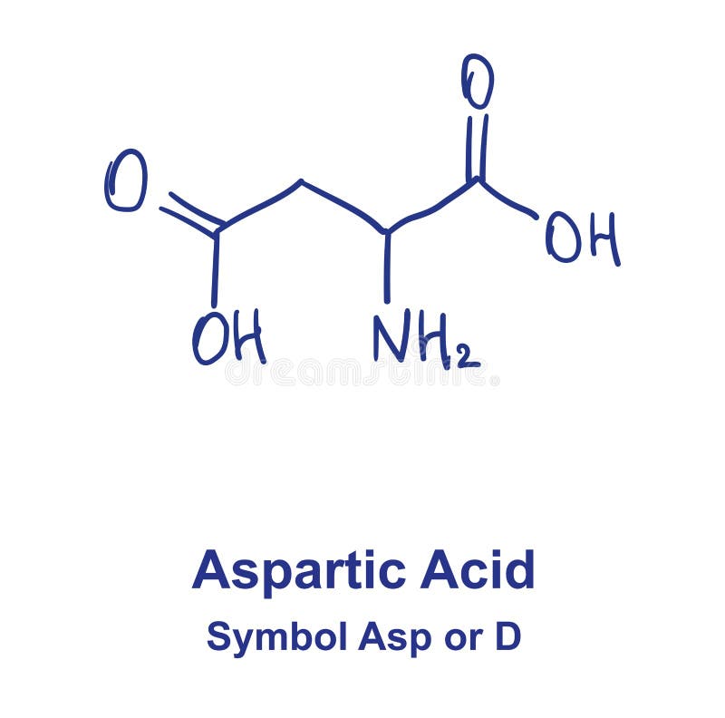 Aspartic Acid or Aspartate Chemical Structure. Vector Illustration Hand ...