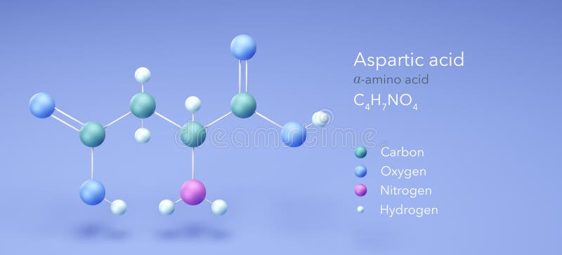 Aspartic Acid, Molecular Structures, Amino Acid, 3d Model, Structural ...