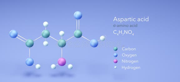 Aspartic Acid, Molecular Structures, Amino Acid, 3d Model, Structural ...