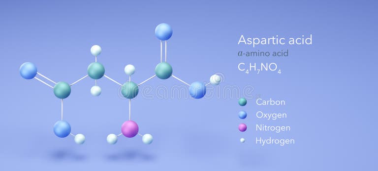 Aspartic Acid, Molecular Structures, Amino Acid, 3d Model, Structural ...