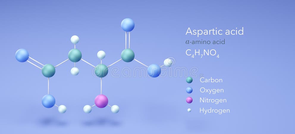Aspartic Acid, Molecular Structures, Amino Acid, 3d Model, Structural ...