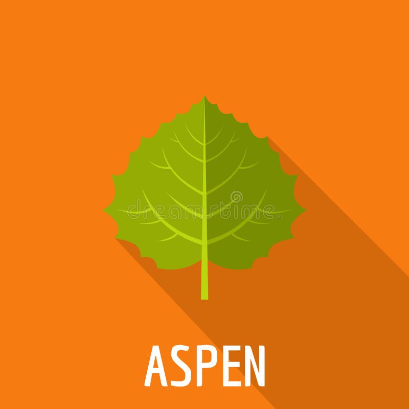 Leaf Of Aspen Tree Flat Icon Stock Vector - Illustration of season ...