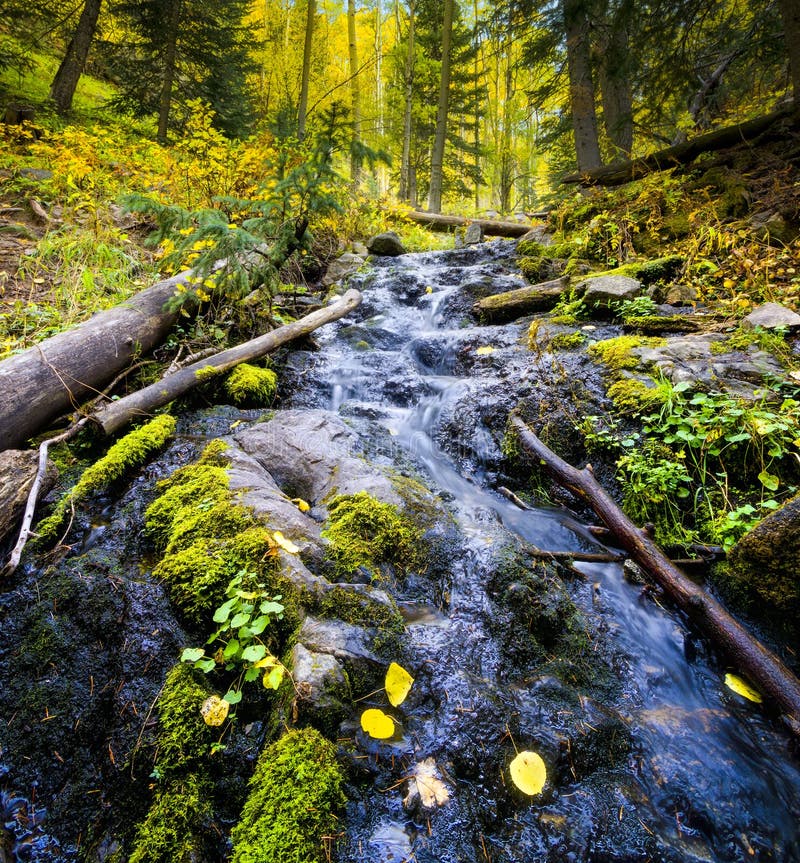 Silky Autumn Stream in the Smokies Stock Image - Image of branches ...