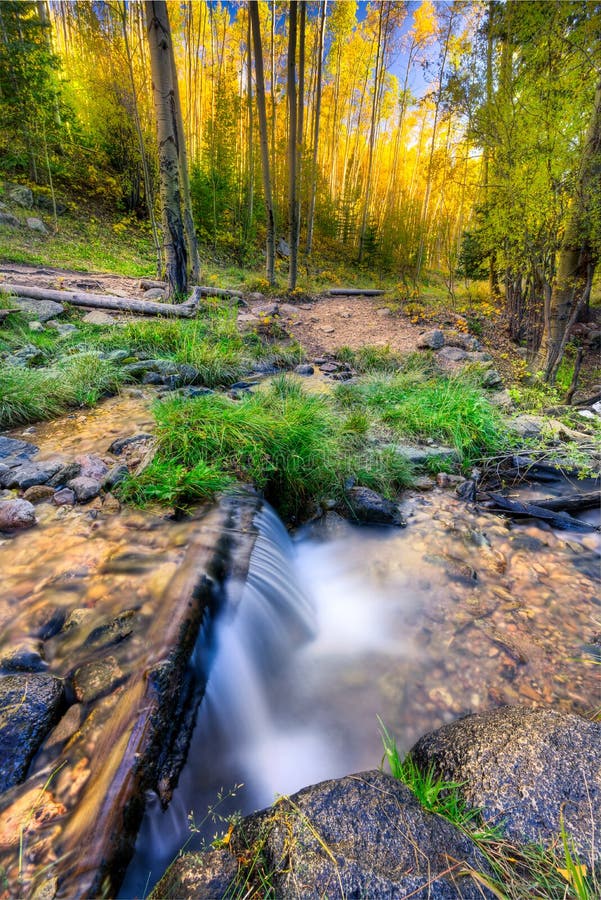 Aspen Stream immagine stock. Immagine di roccie, pattino - 61527831